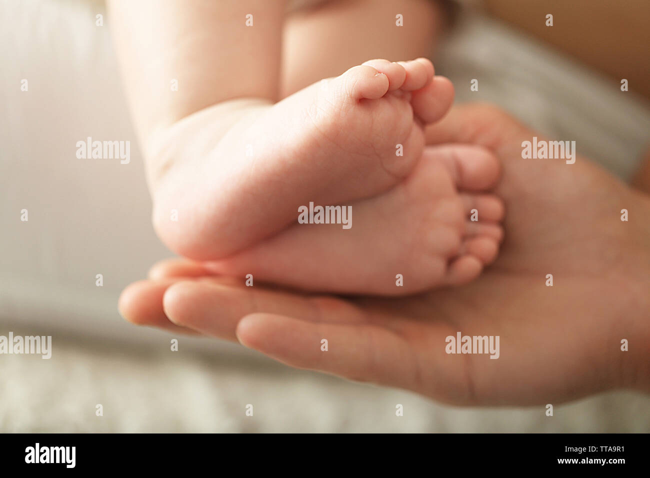 Hand holding baby feet hi-res stock photography and images - Alamy