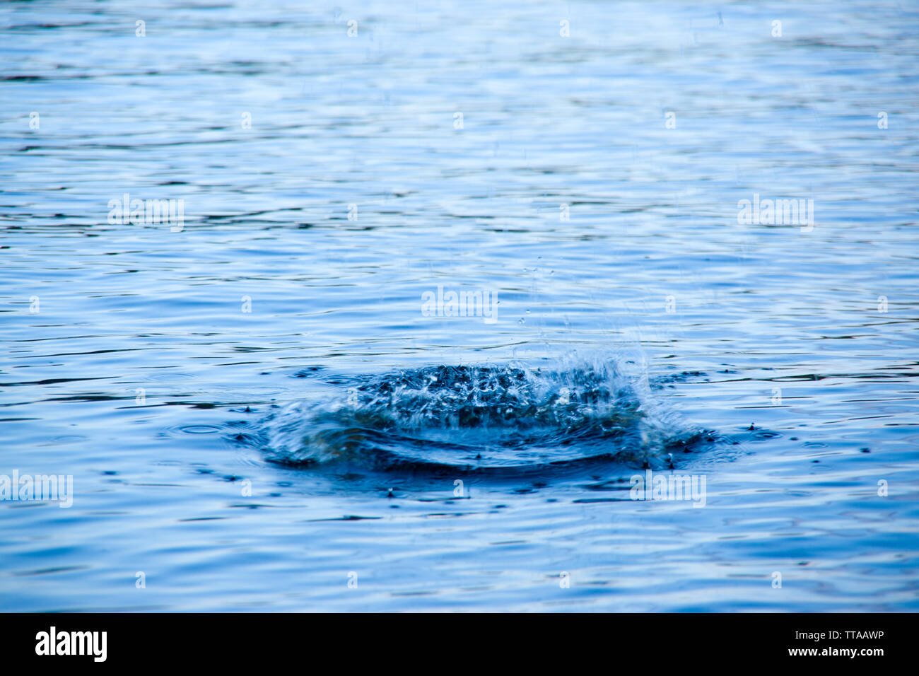 Saint croix river hi-res stock photography and images - Alamy