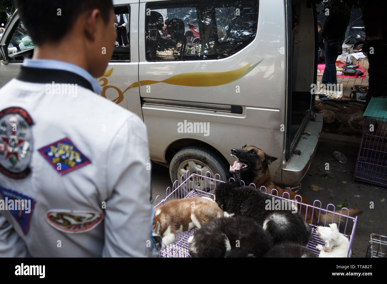 28 June 2018- Kunming, China- Dog being trained in the street Stock ...