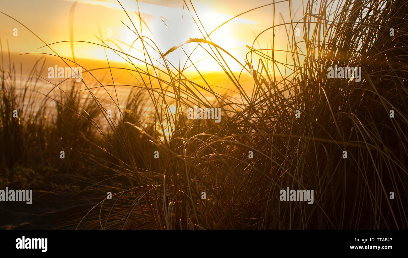 sunset in Matanzas, Chile Stock Photo - Alamy