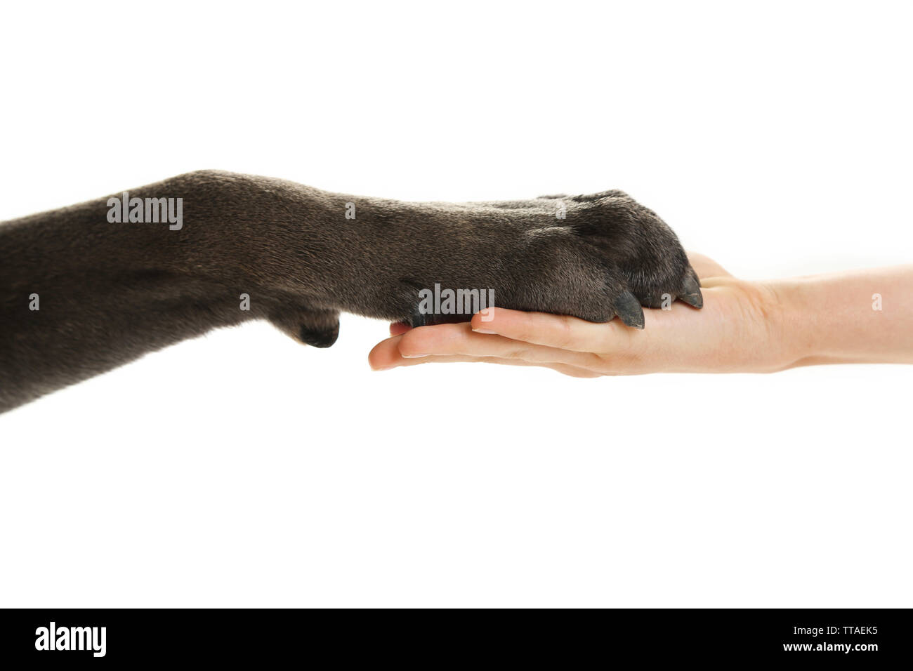 Handshaking with nature hi-res stock photography and images - Alamy