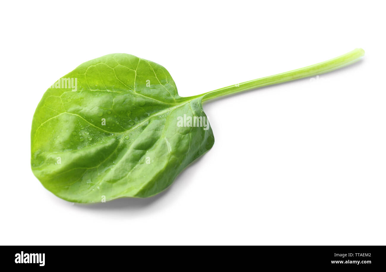 Fresh spinach leaf isolated on white Stock Photo - Alamy