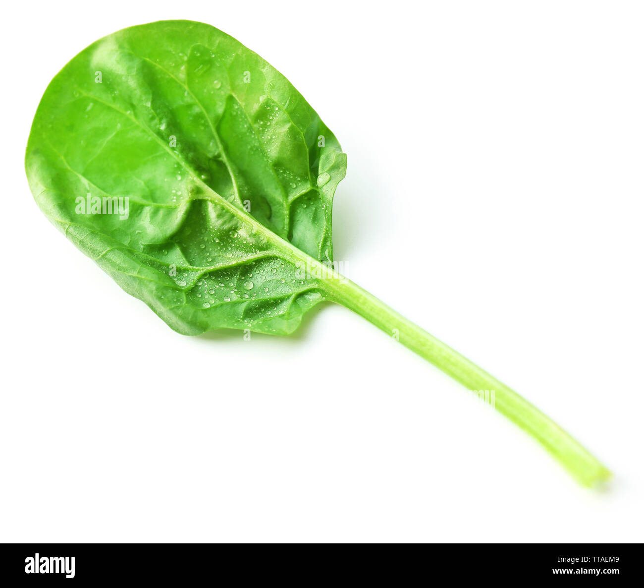 Fresh spinach leaf isolated on white Stock Photo - Alamy