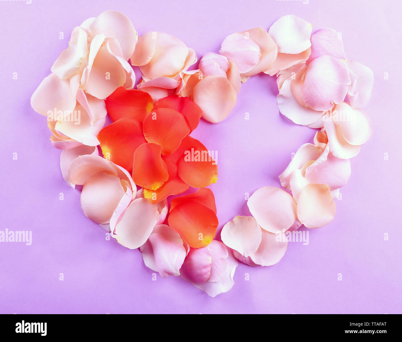 Beautiful heart of rose petals on purple background Stock Photo - Alamy
