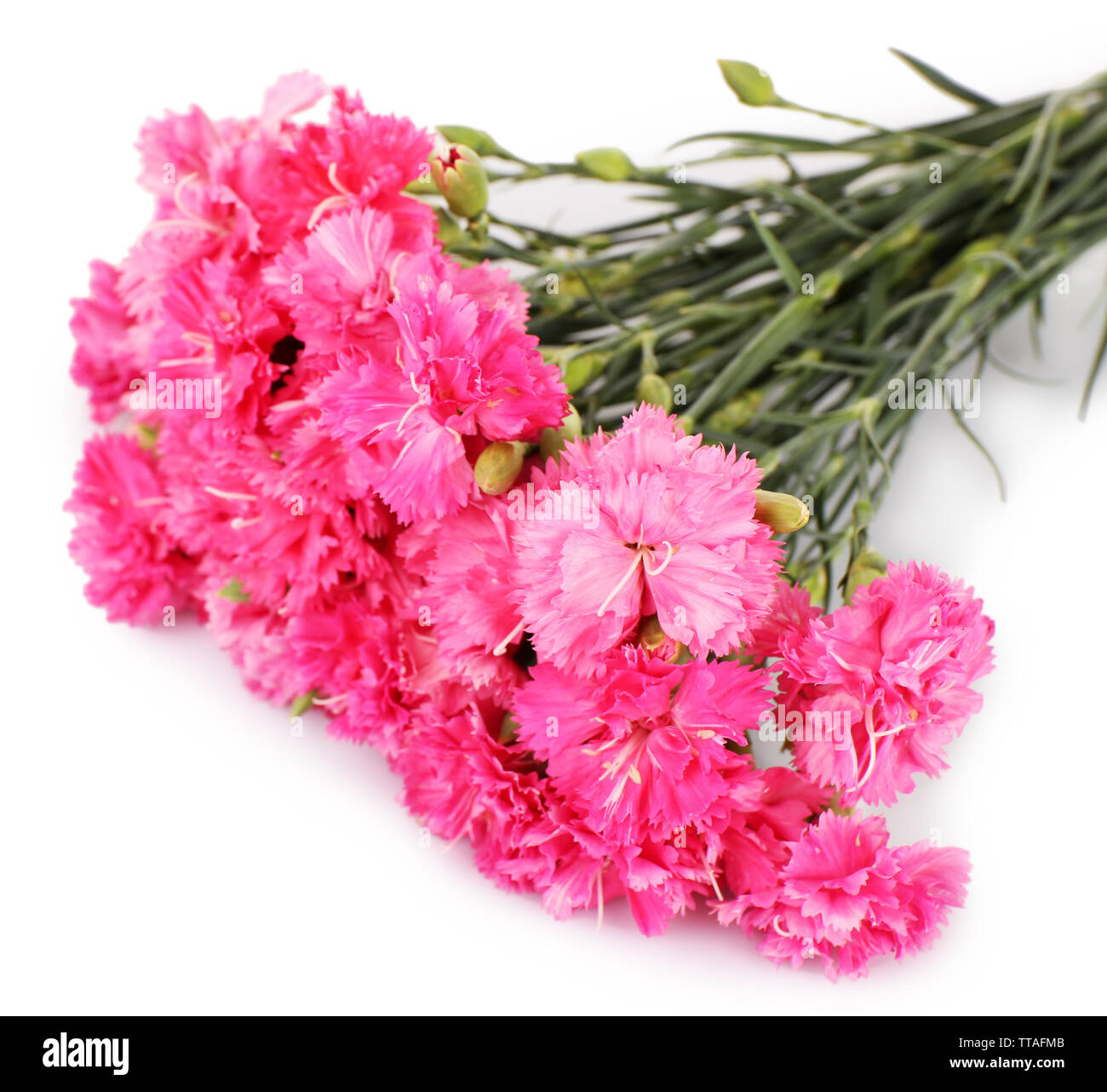 Beautiful bouquet of pink carnation isolated on white Stock Photo - Alamy