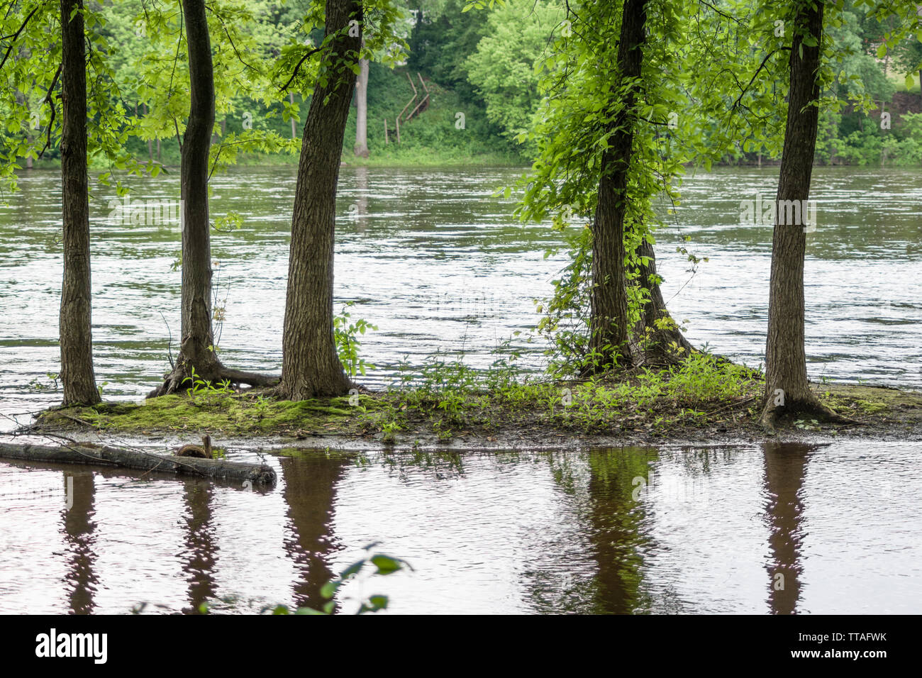 Banfill-Locke, Manomin County Park at Rice Creek and the Mississippi ...