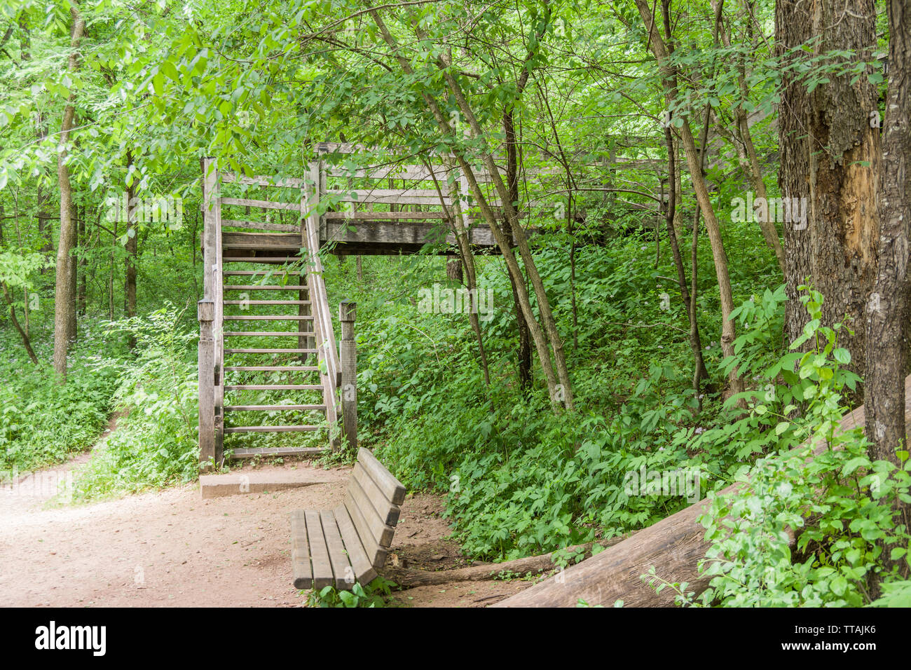 Willow River State Park, stairs Stock Photo - Alamy