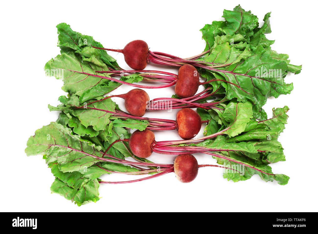 Beet tops Cut Out Stock Images & Pictures - Alamy