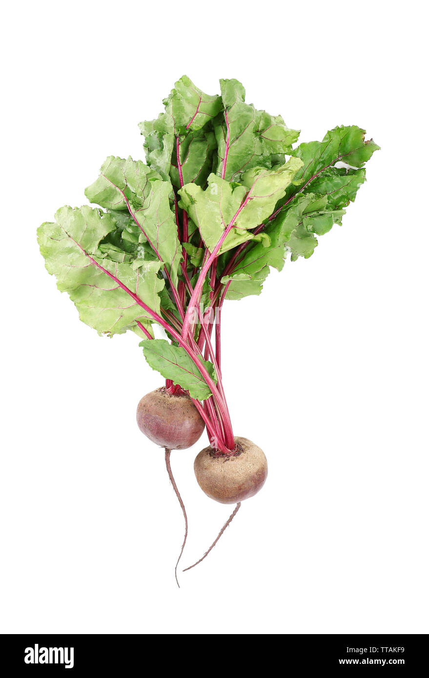 Beet tops Cut Out Stock Images & Pictures - Alamy