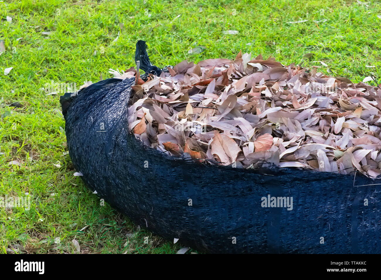 Tarp tree hi-res stock photography and images - Alamy