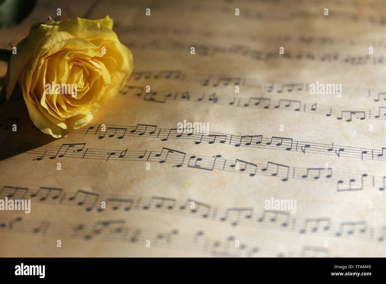 Beautiful rose on music sheets background Stock Photo - Alamy