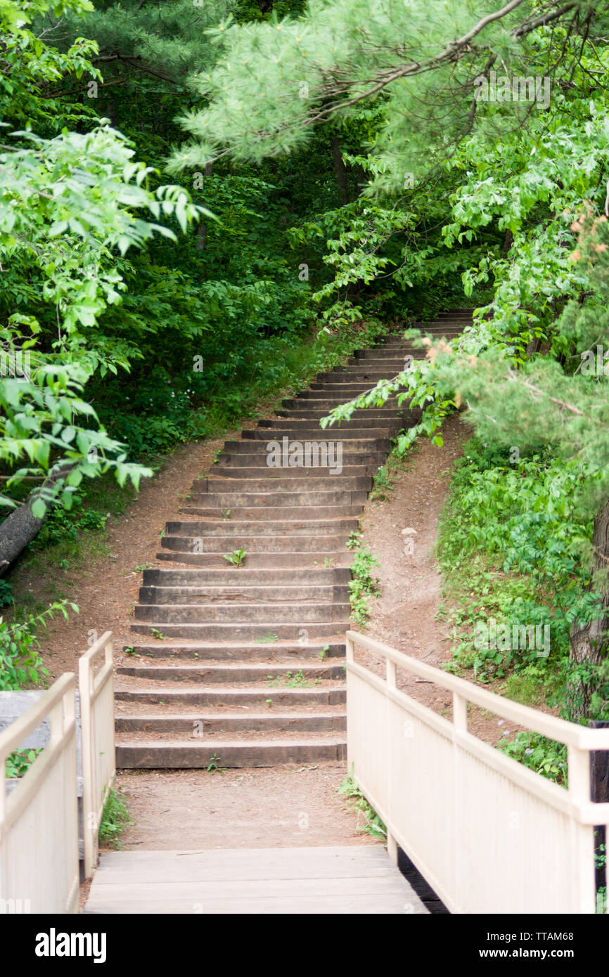 Willow River State Park, stairs Stock Photo - Alamy