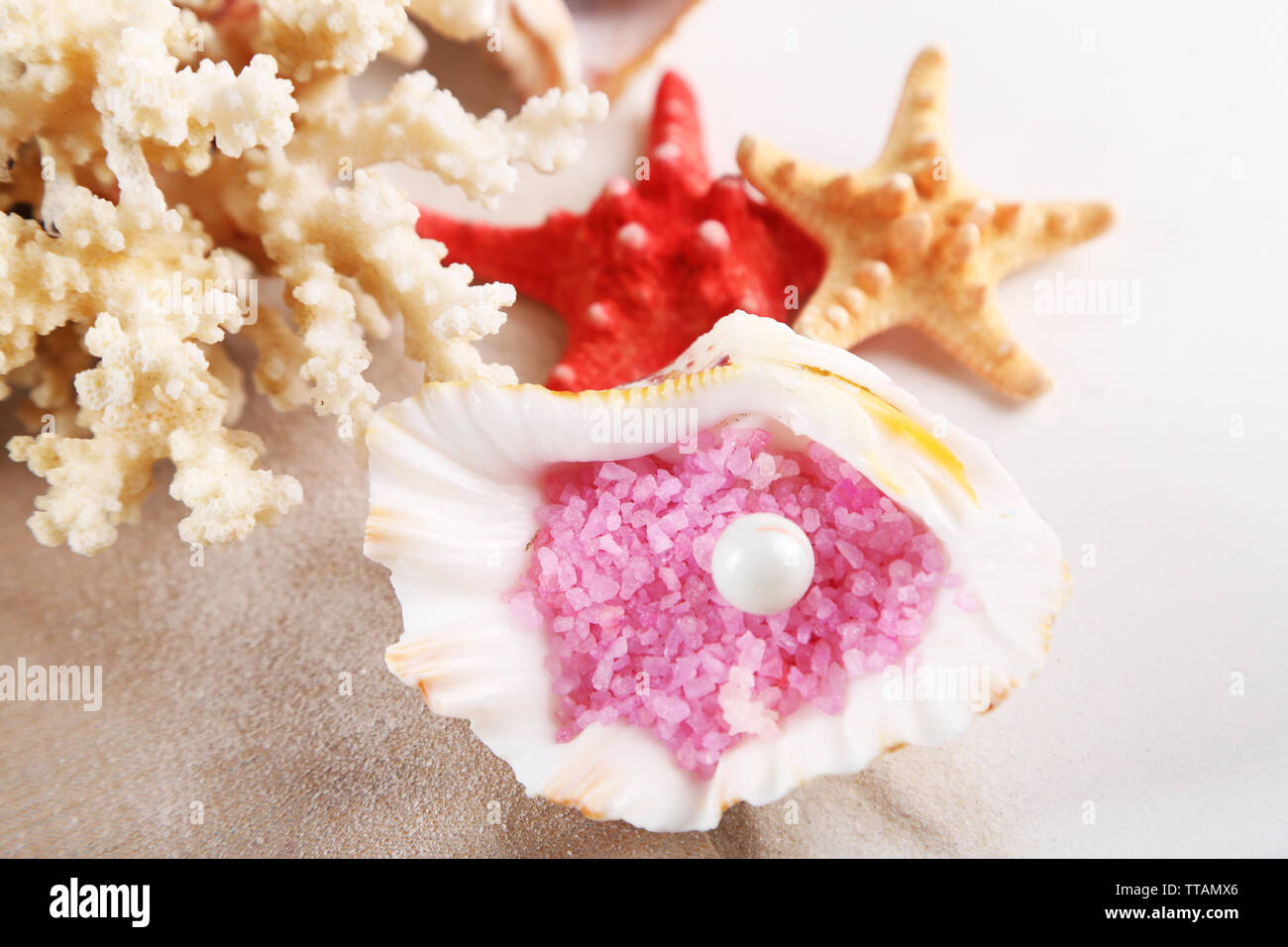 Collection of seashells Stock Photo - Alamy