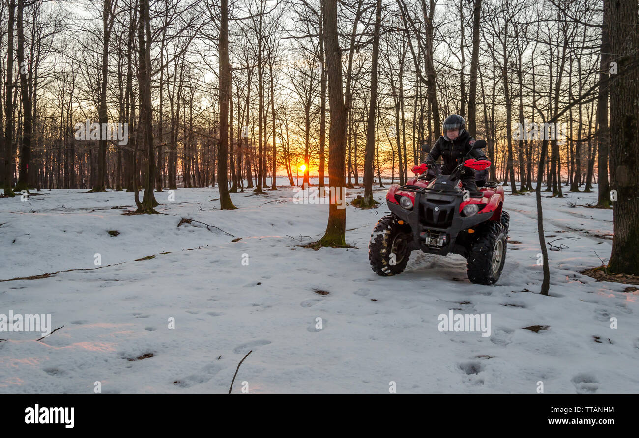 Atv in the forest hi-res stock photography and images - Alamy