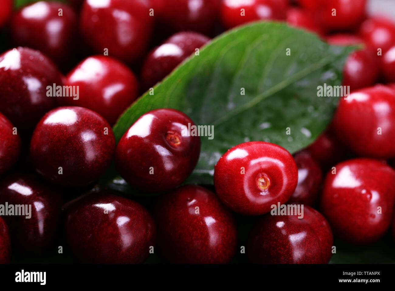 Sweet cherries, close-up Stock Photo - Alamy