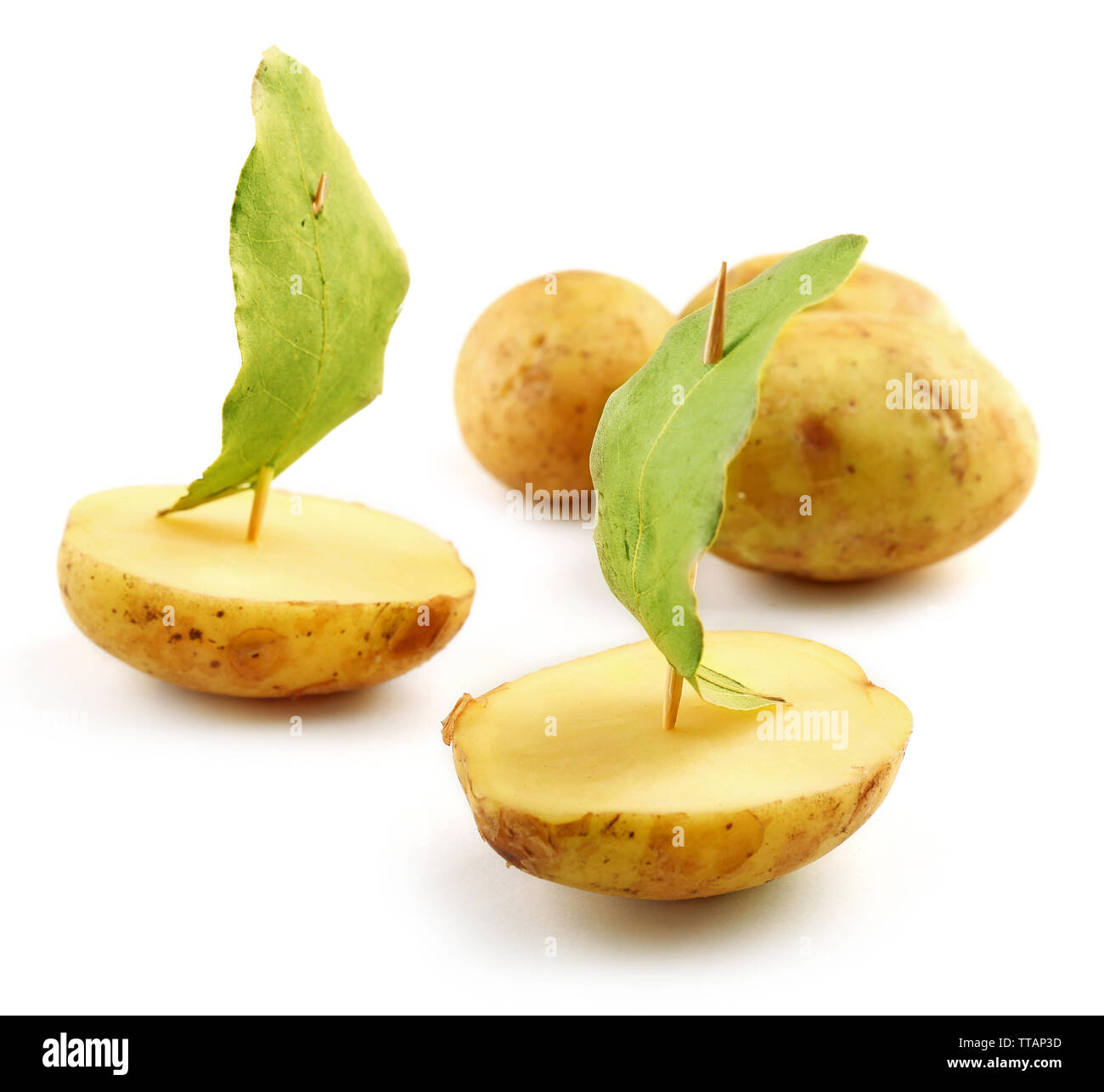 Bumps on leaves hi-res stock photography and images - Alamy