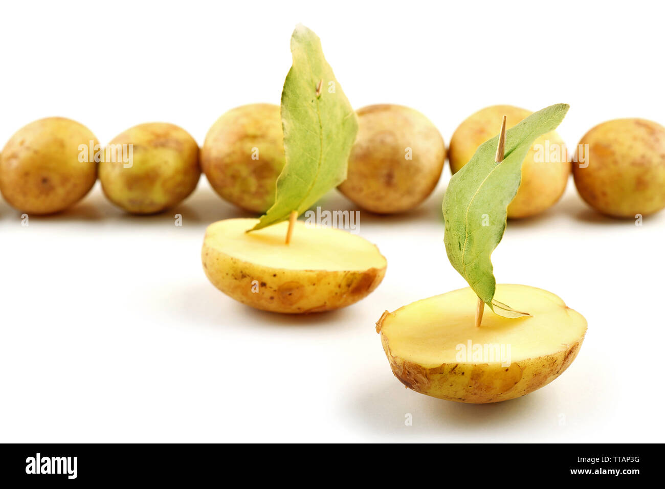 Bumps on leaves hi-res stock photography and images - Alamy
