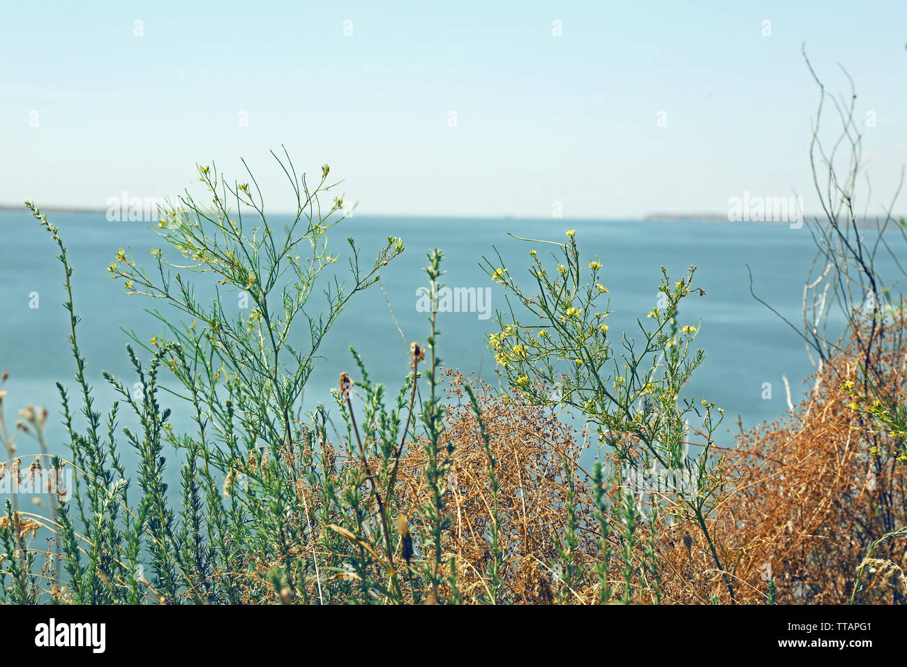 Beautiful country landscape with river Stock Photo - Alamy