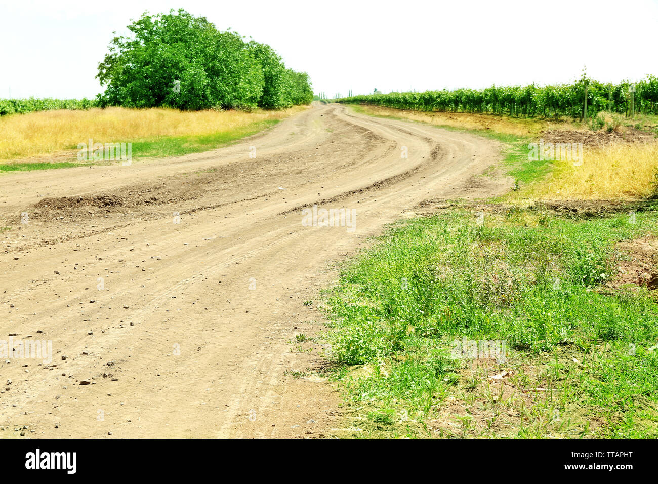 Country road in field Stock Photo - Alamy