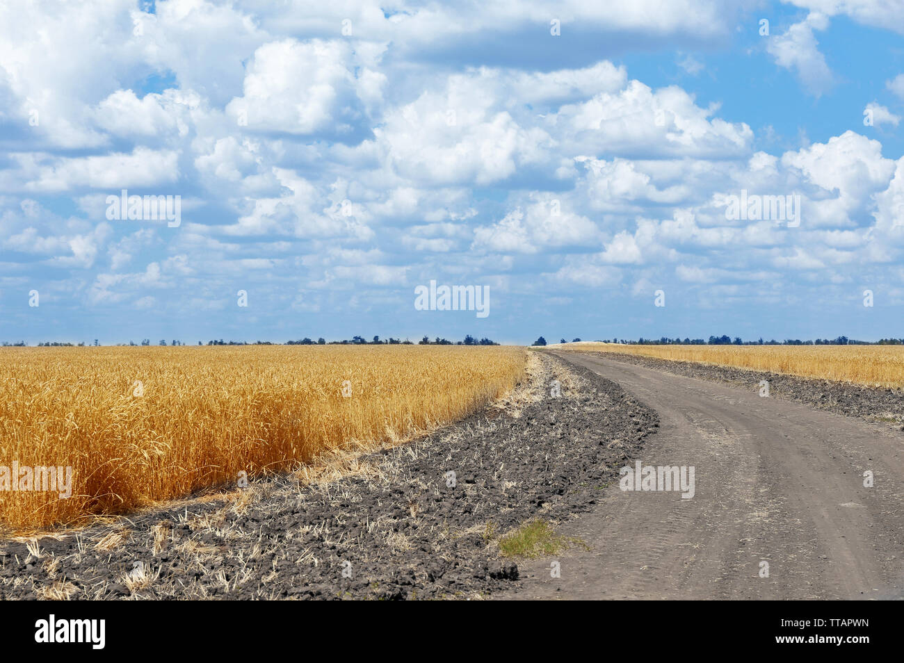 Country road in field Stock Photo - Alamy