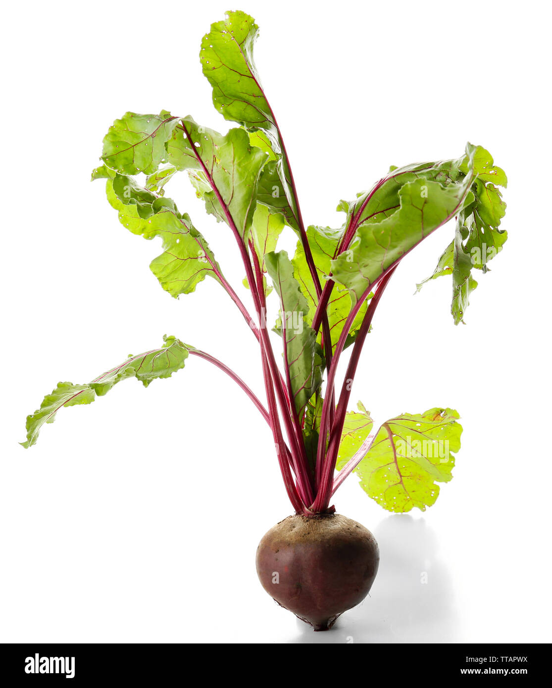 Young beet with leaves isolated on white Stock Photo - Alamy