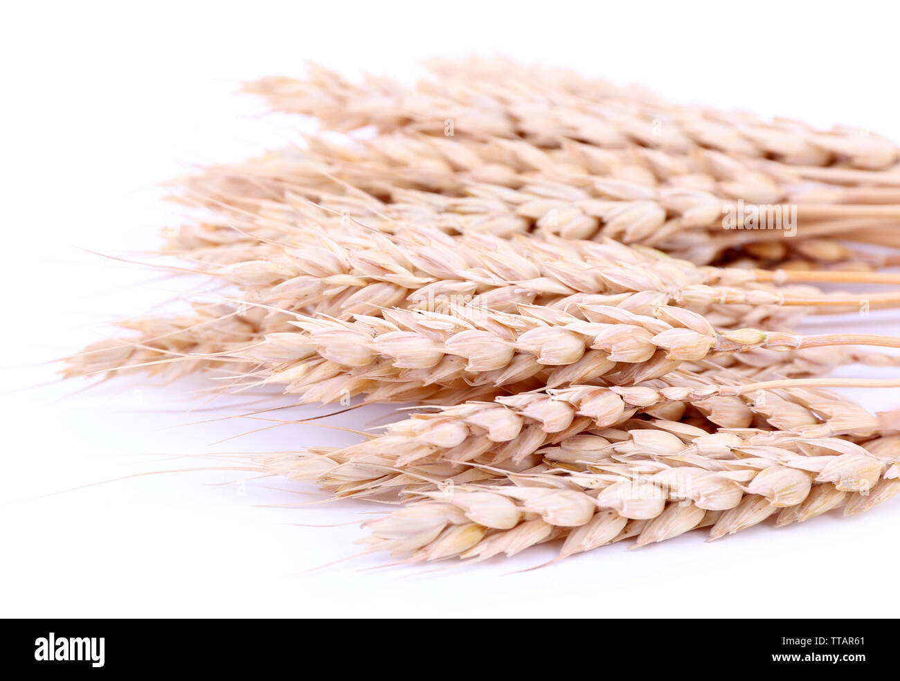 Sheaf of wheat isolated on white Stock Photo - Alamy