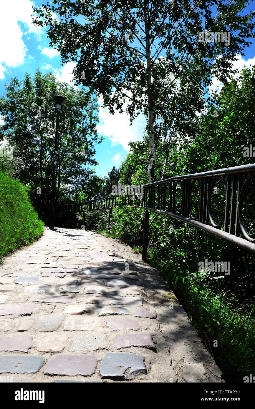 Walkway and green trees in park Stock Photo - Alamy