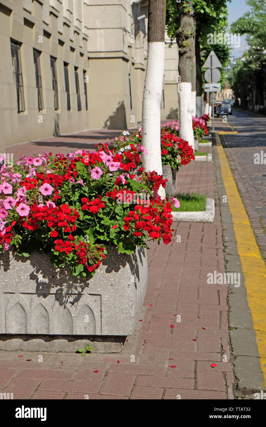 City street with flower beds Stock Photo - Alamy