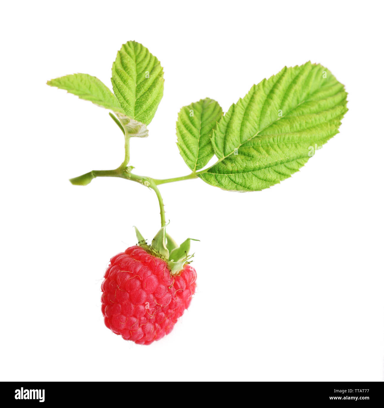 Fresh raspberry with green leaves isolated on white Stock Photo - Alamy