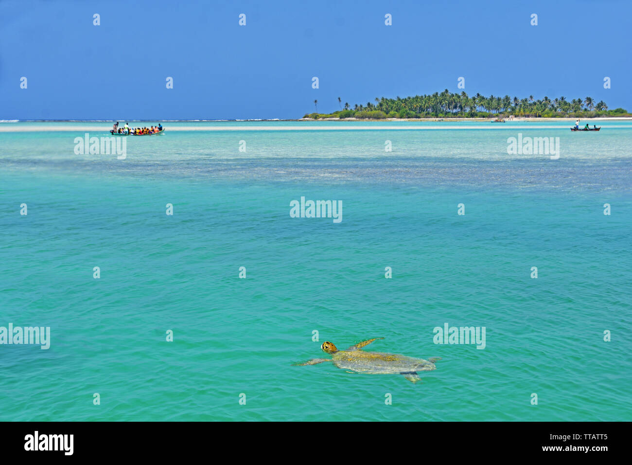 Kalpeni island, Lakshadweep, India Stock Photo - Alamy