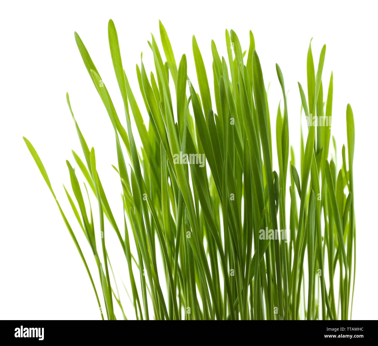 Green grass, isolated on white Stock Photo - Alamy