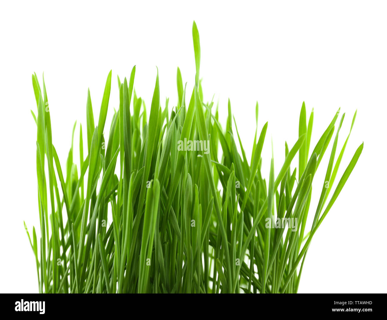 Green grass, isolated on white Stock Photo - Alamy