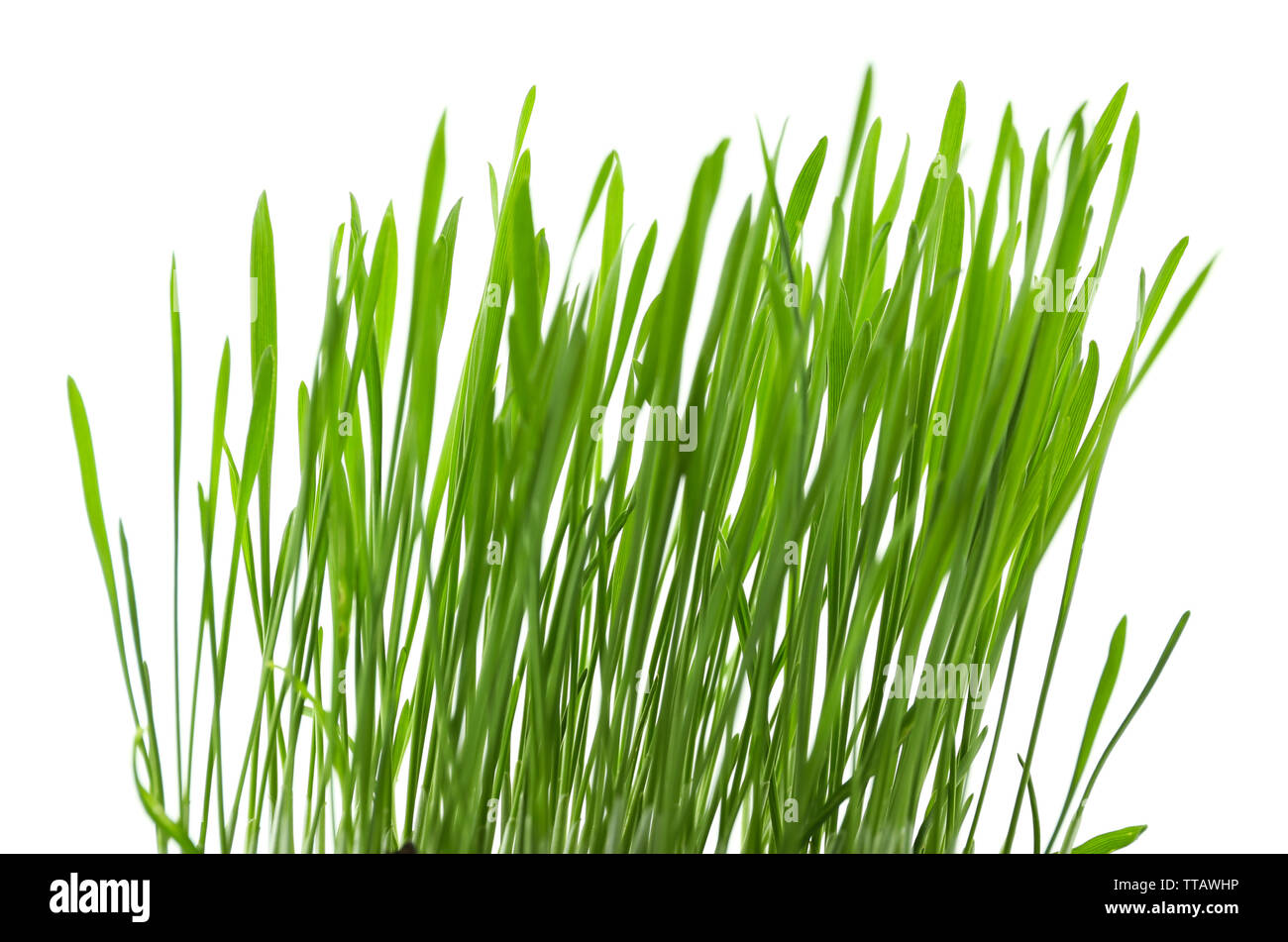 Green grass, isolated on white Stock Photo - Alamy
