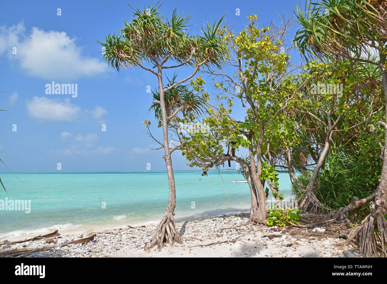 Minicoy island, Lakshadweep, India Stock Photo - Alamy
