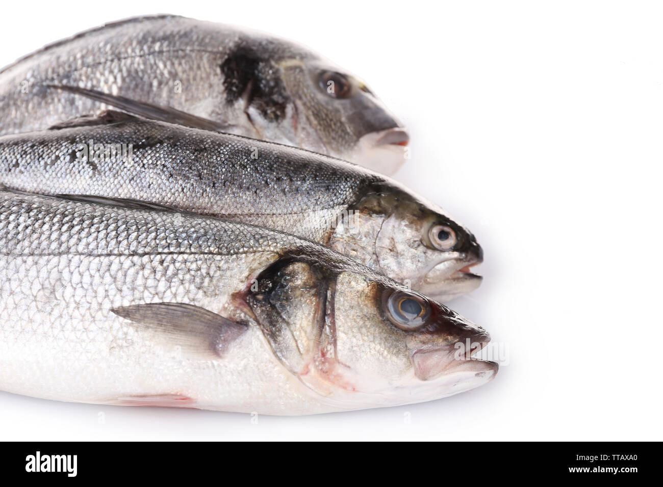 Fresh fish collection isolated on white Stock Photo - Alamy