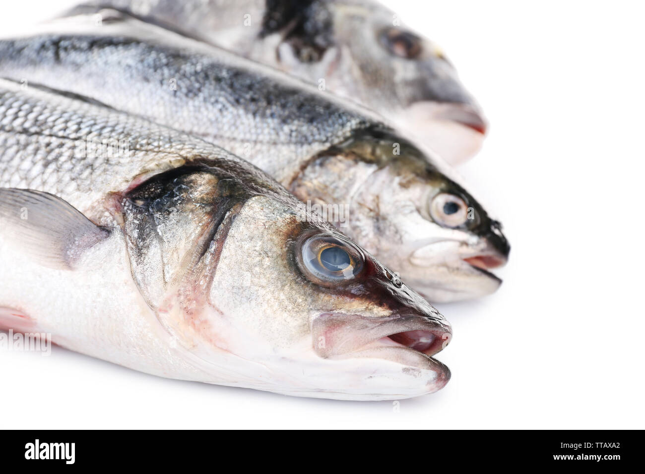 Fresh fish collection isolated on white Stock Photo - Alamy