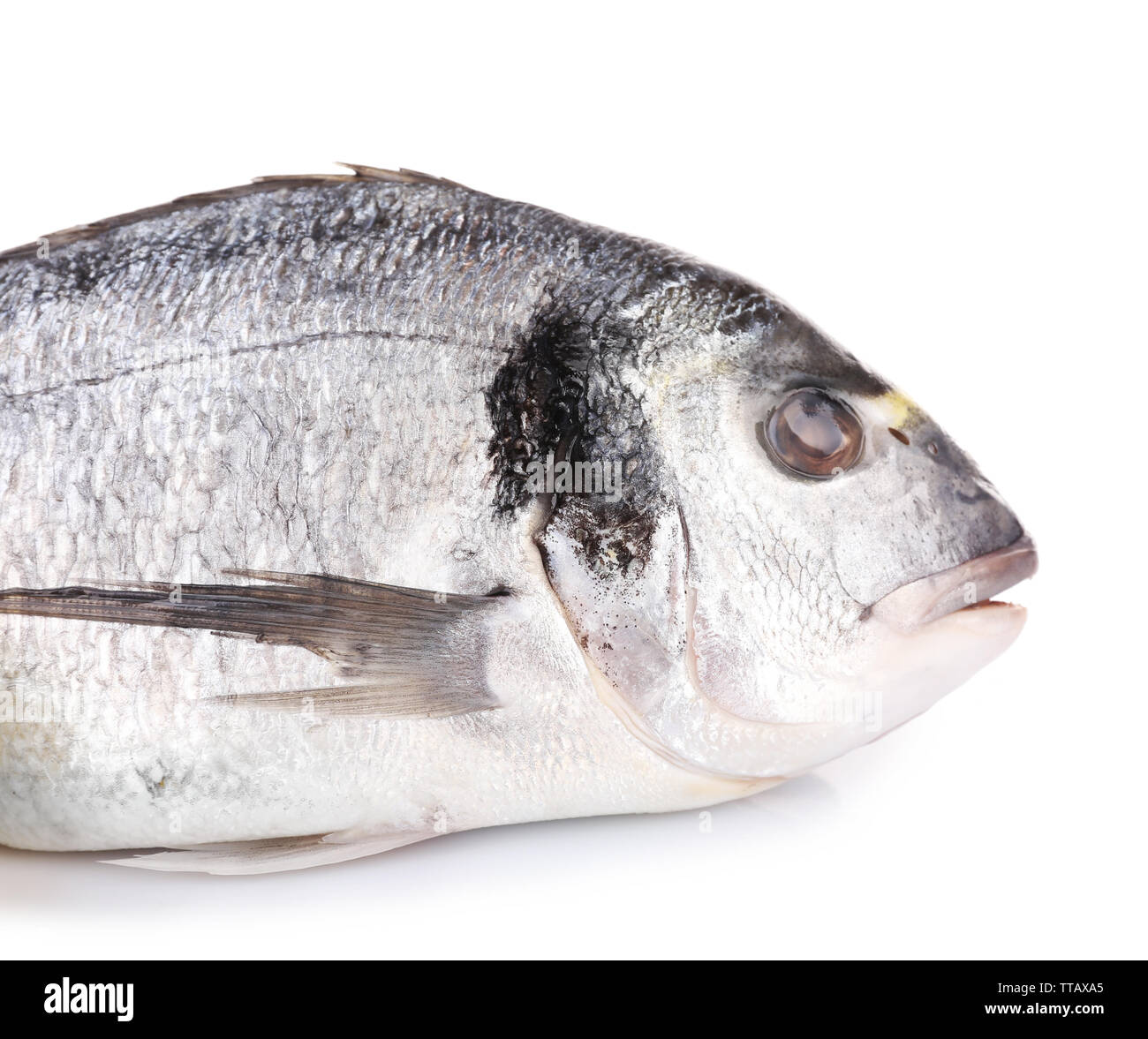 Fresh dorado fish isolated on white Stock Photo - Alamy