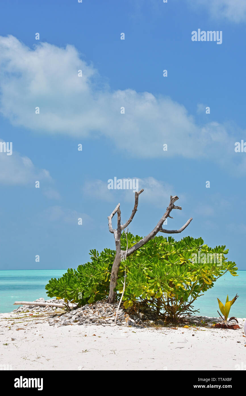 Minicoy island, Lakshadweep, India Stock Photo - Alamy