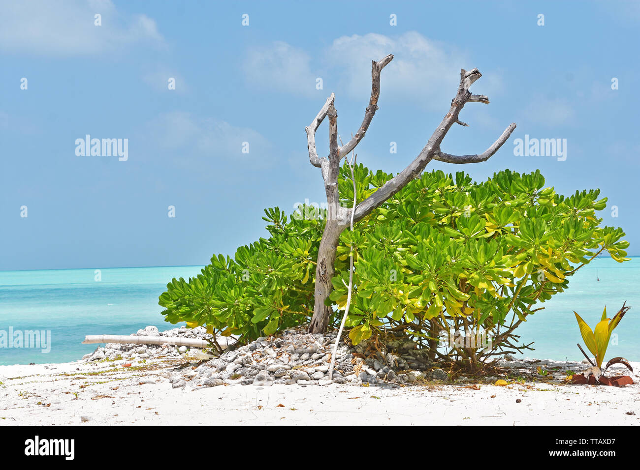 Minicoy island, Lakshadweep, India Stock Photo - Alamy