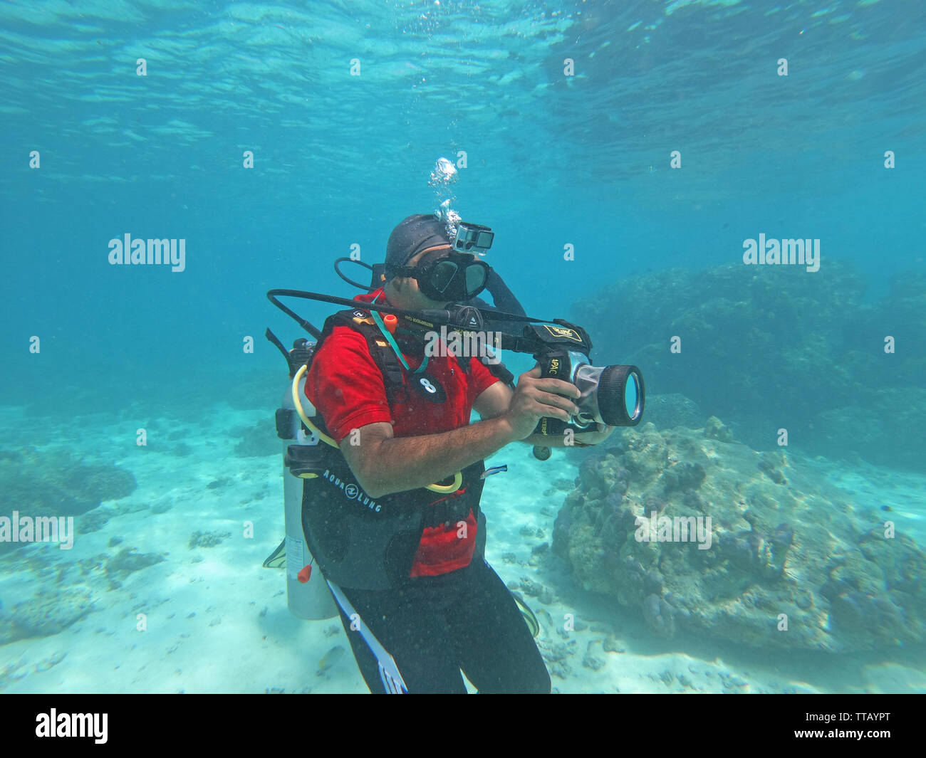 SCUBA diving and Underwater marine life, Lakshadweep, India Stock Photo ...