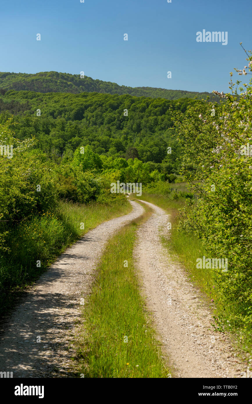 Empty road with no vehicles hi-res stock photography and images - Alamy