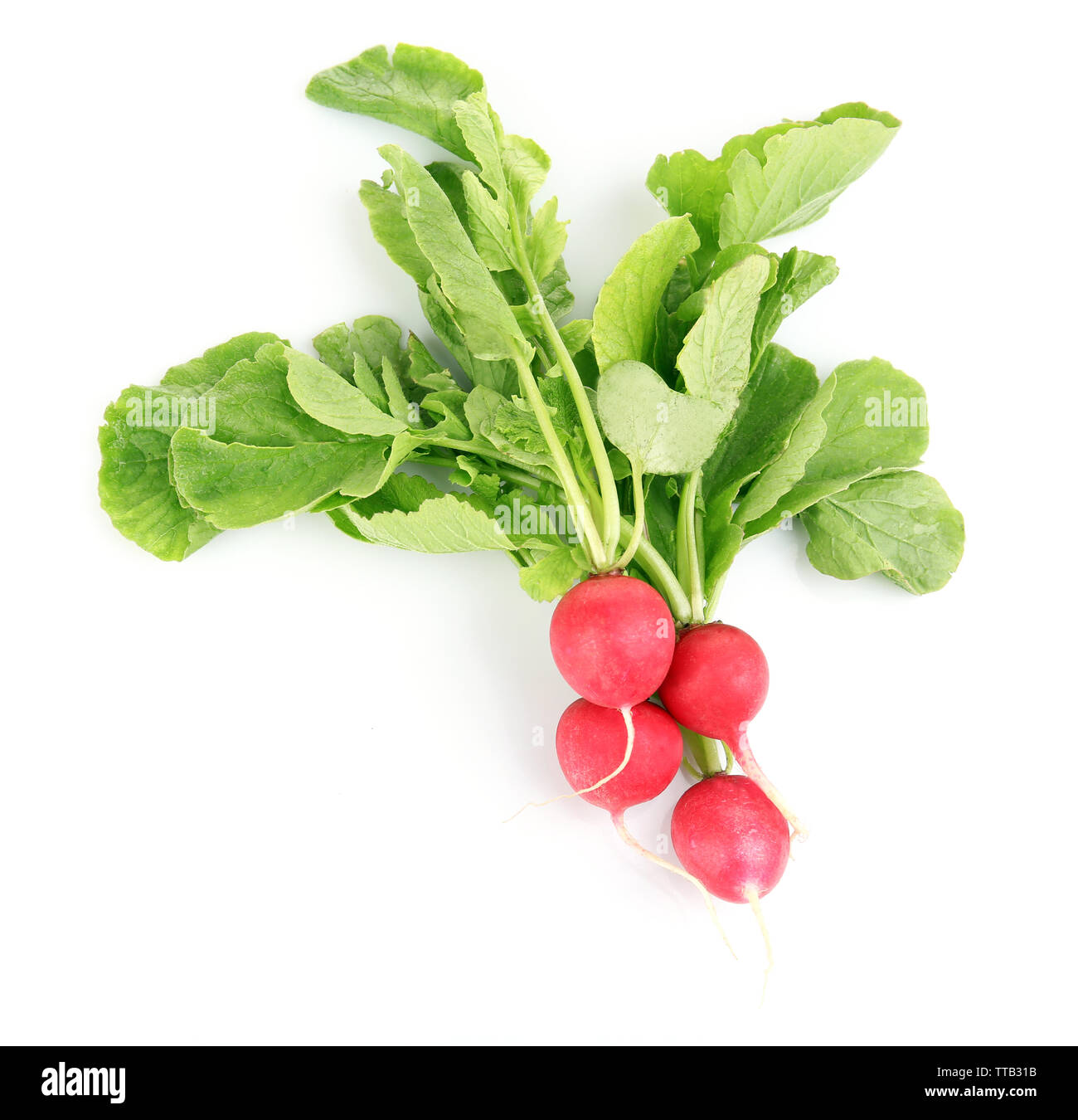 Fresh red radish isolated on white Stock Photo - Alamy