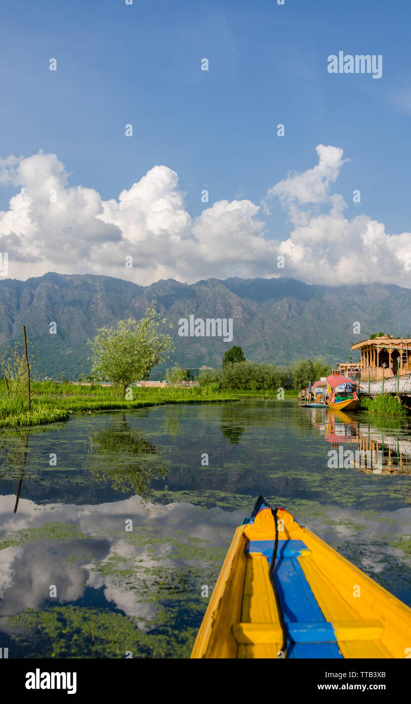 Beautiful views from a shikara ride on Dal Lake, Srinagar, Jammu and Kashmir, India Stock Photo ...