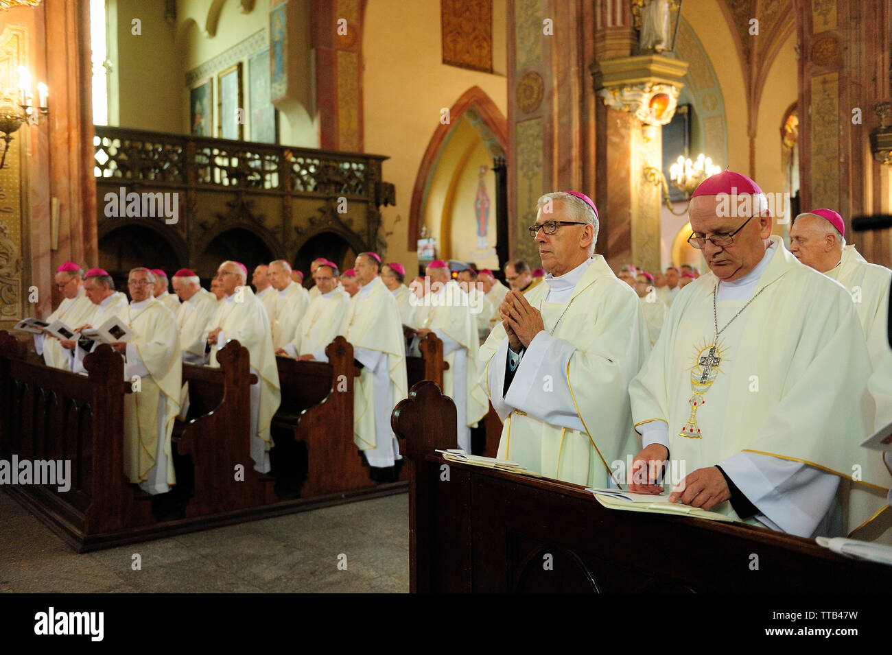Swidnica live hi-res stock photography and images - Alamy