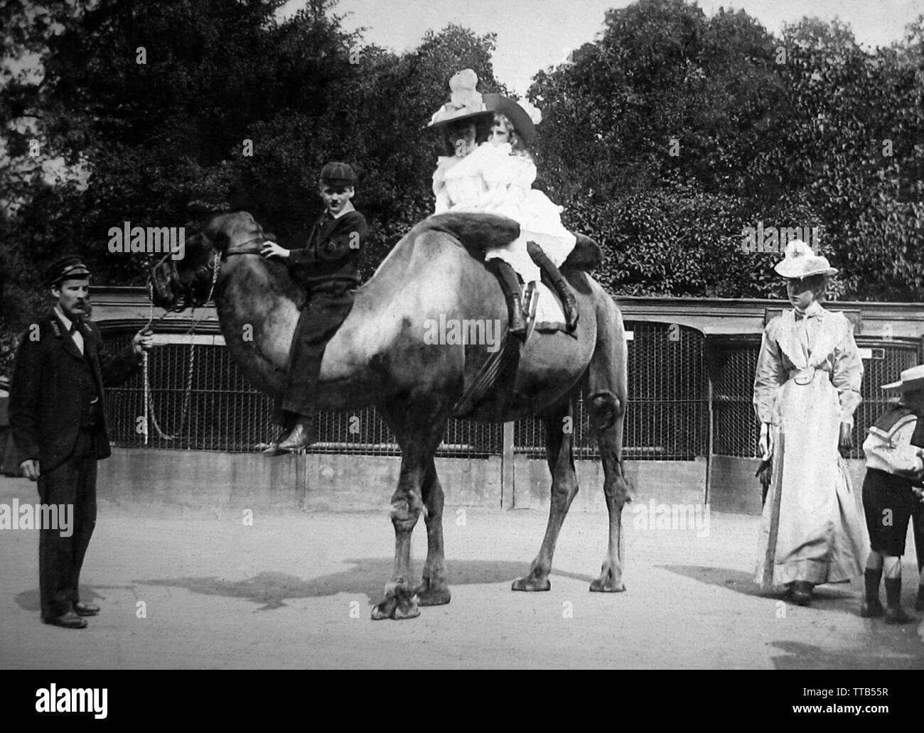 Victorian zoo Black and White Stock Photos & Images - Alamy