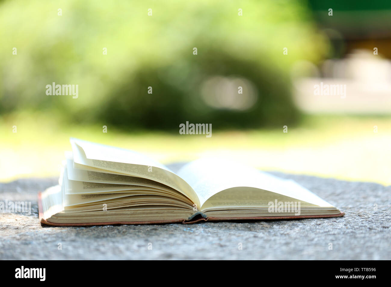 Open book outdoors, on blurred background Stock Photo - Alamy