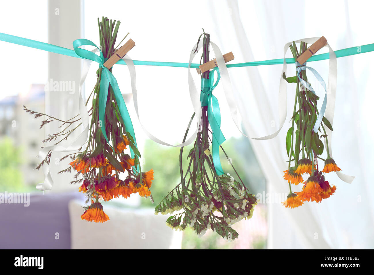 Drying flower windowsill hi-res stock photography and images - Alamy