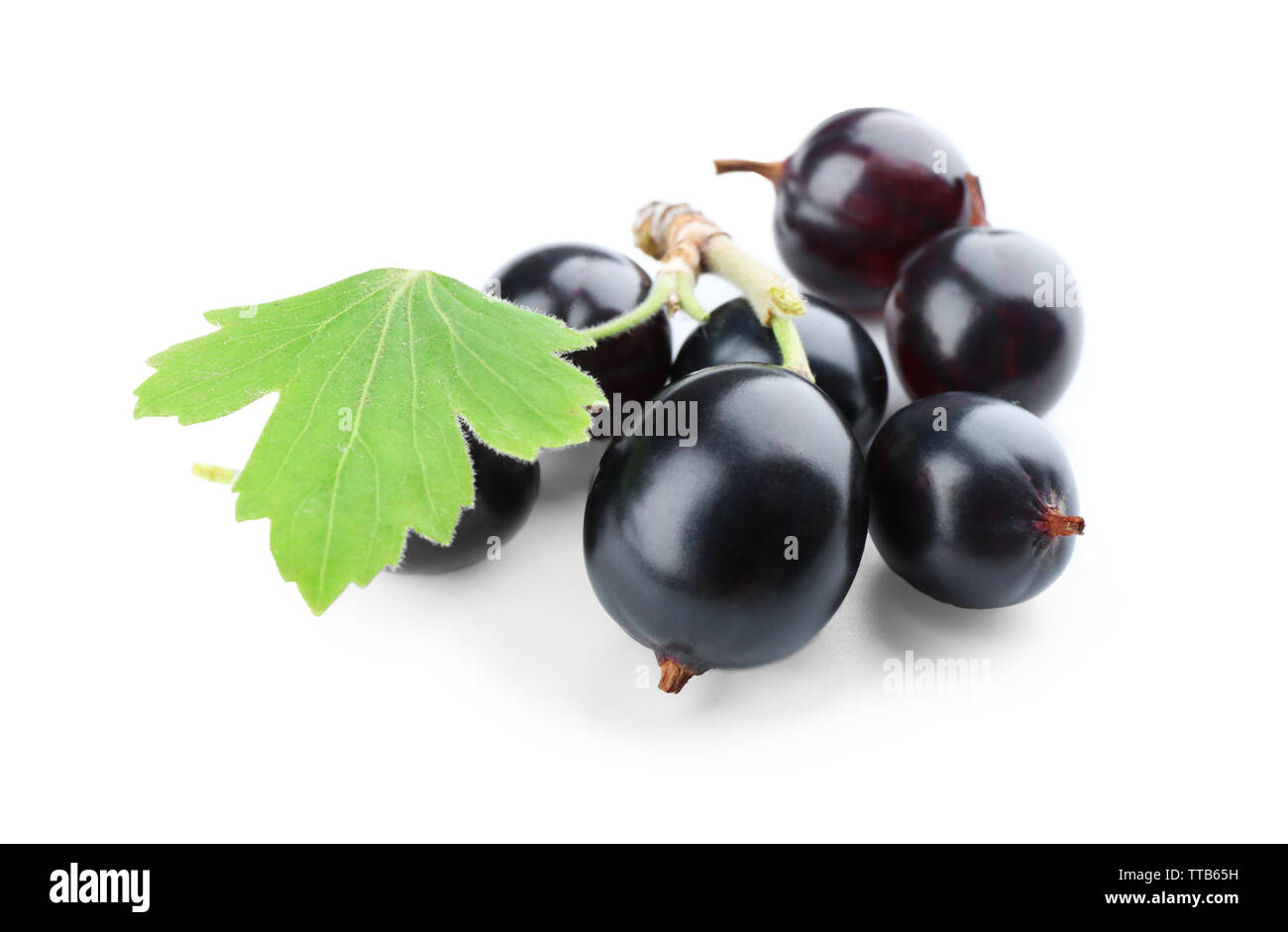 Wild black currant with green leaf isolated on white Stock Photo - Alamy