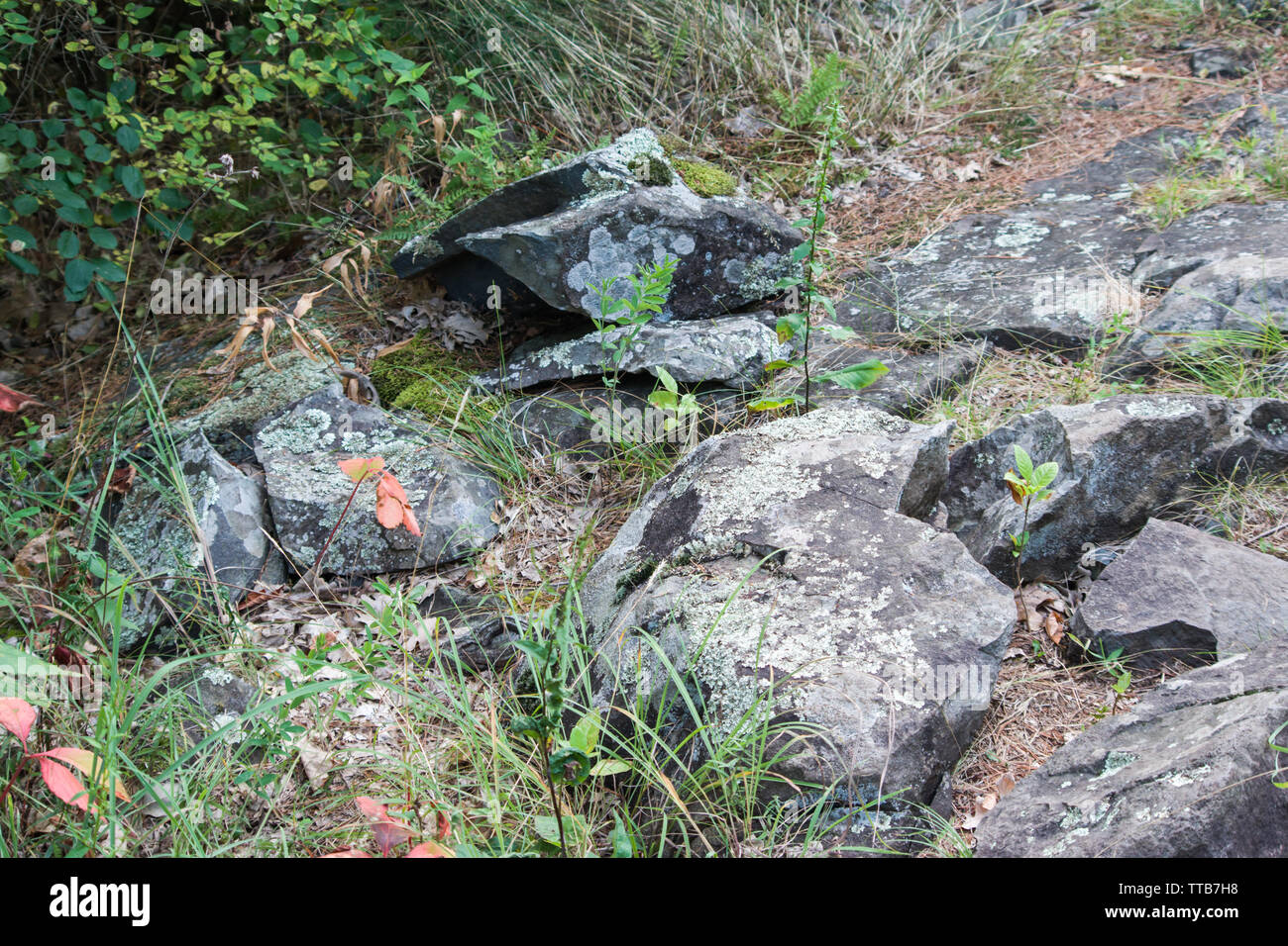 Interstate Park, Minnesota, Taylors Falls Stock Photo - Alamy