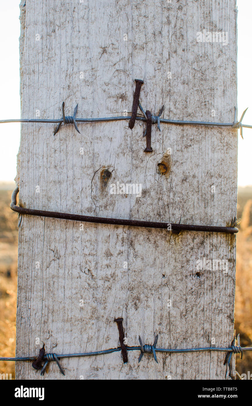 Barbed wire nailed to an old Board with rusty nails Stock Photo - Alamy